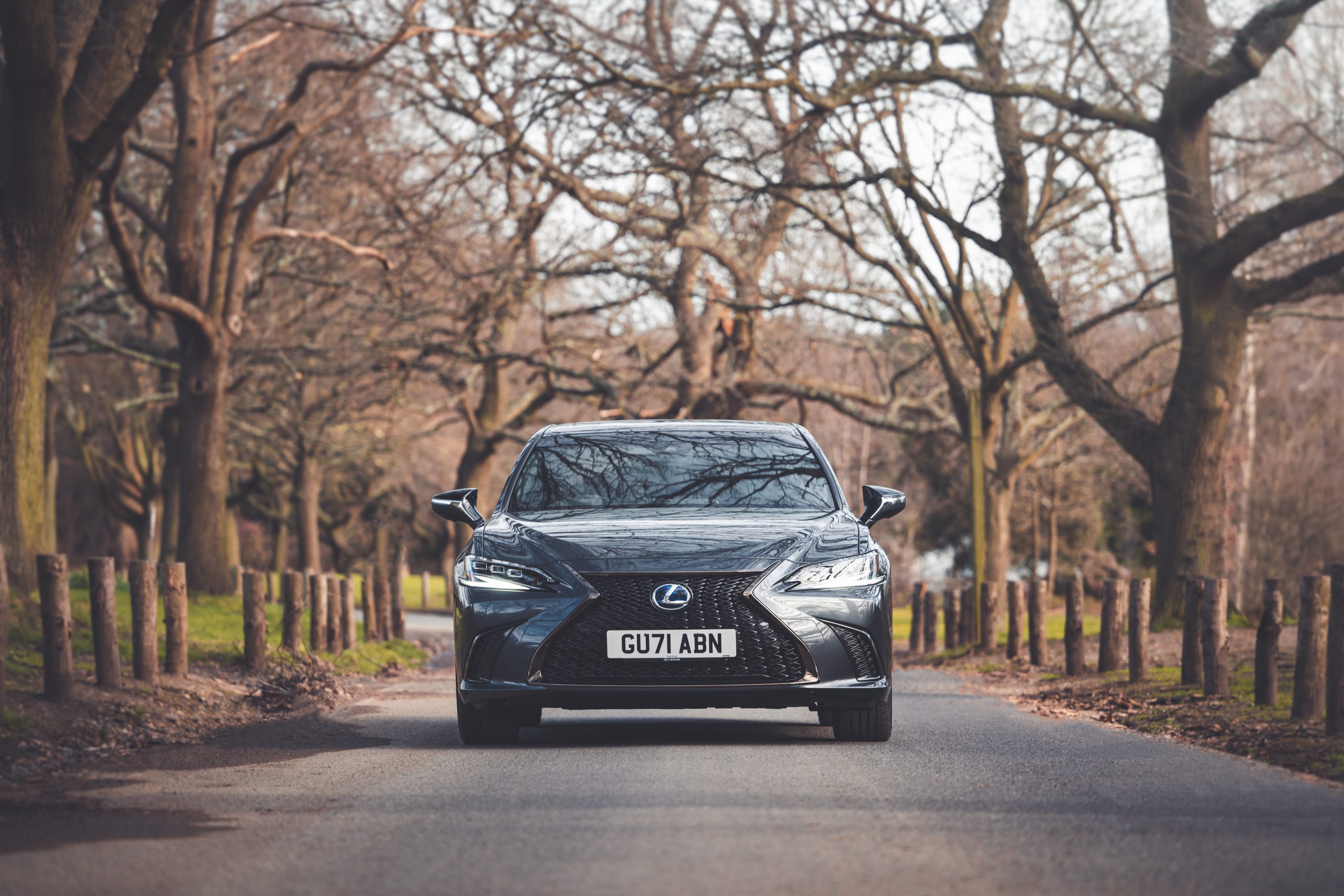dramatic-styling-gives-lexus-the-edge-on-the-road